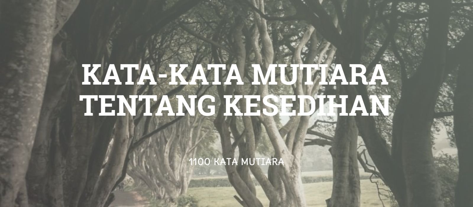 Kumpulan kata-kata bijak tentang kesedihan – Falcon App